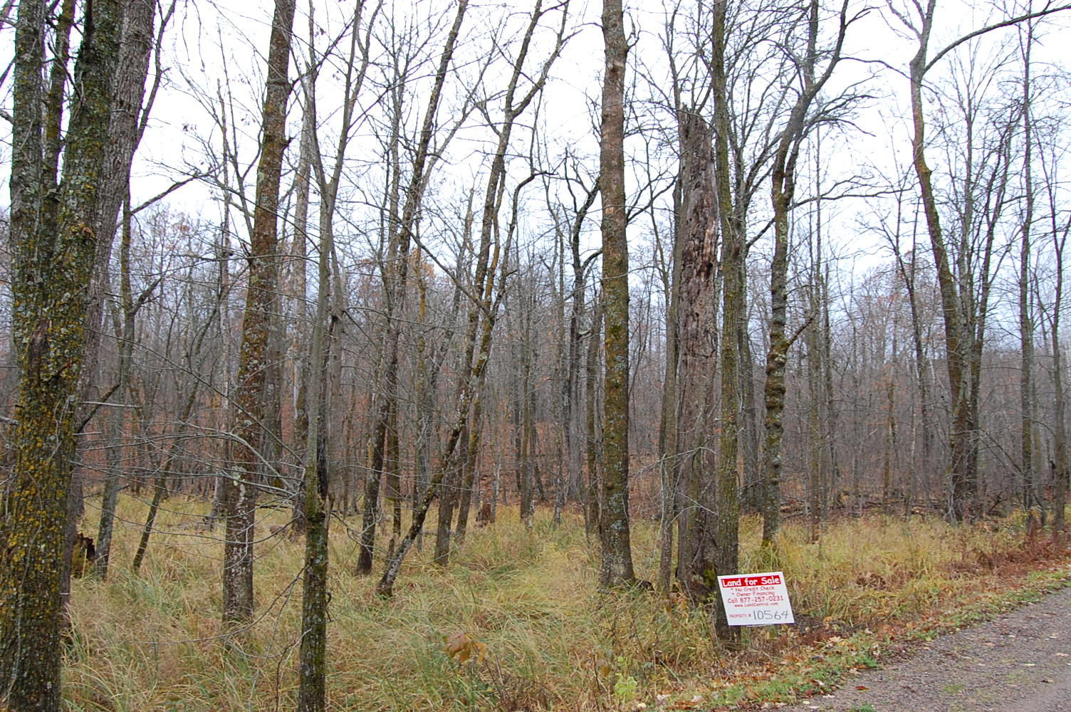Treed Minnesota lot near Mille Lacs Lake | LandCentral