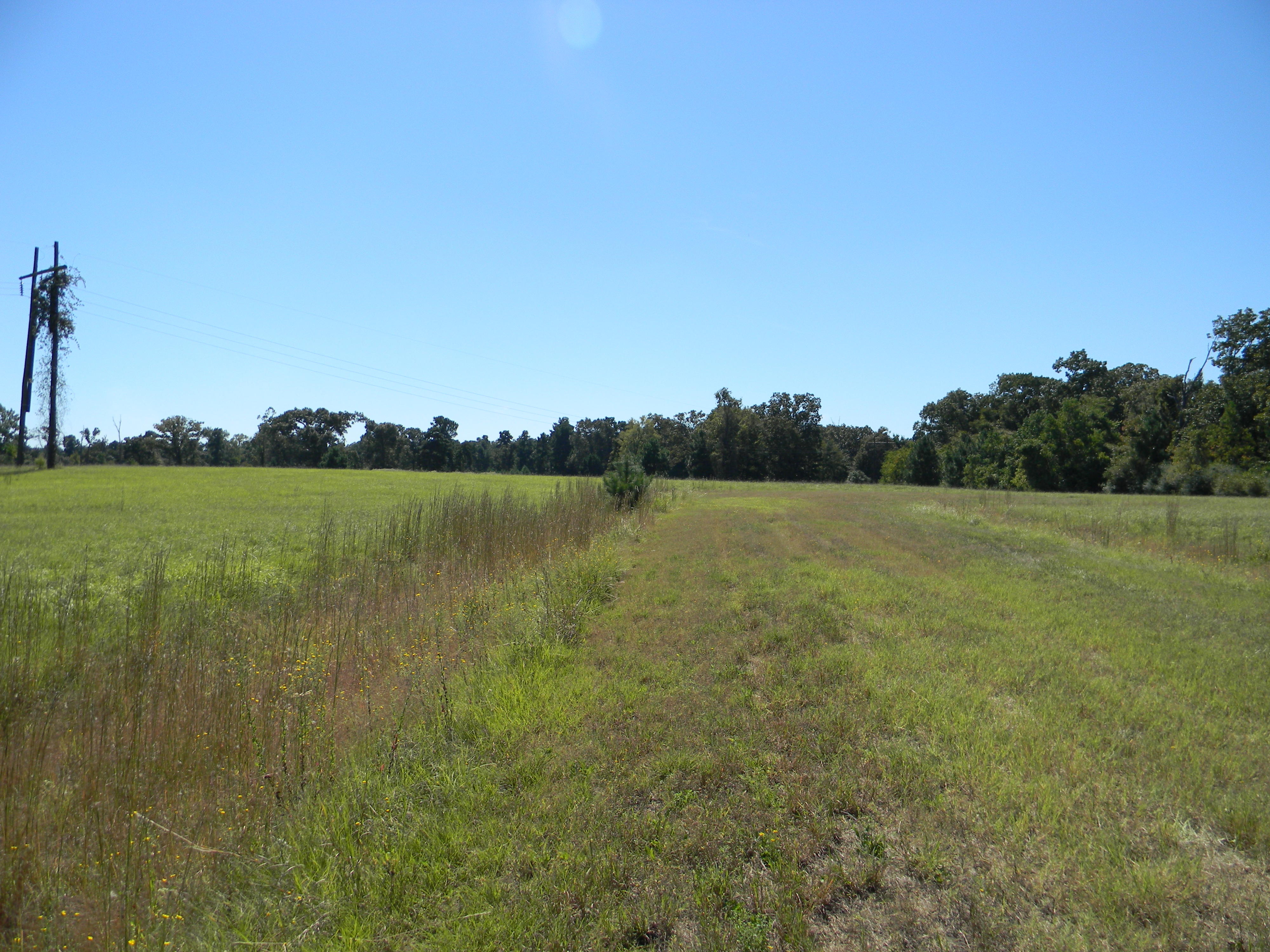 Perfect Acre for Living in the Texas Countryside | LandCentral