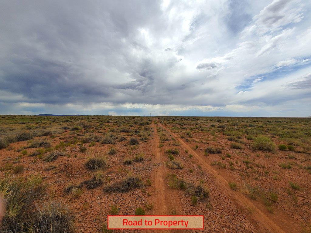 Explore the Possibilities on this 40 Acre Property | LandCentral