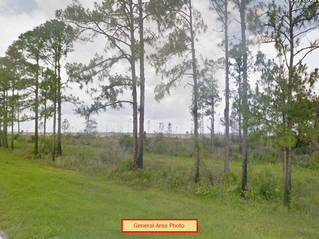 Secluded 1 Acre in Rural Florida | LandCentral