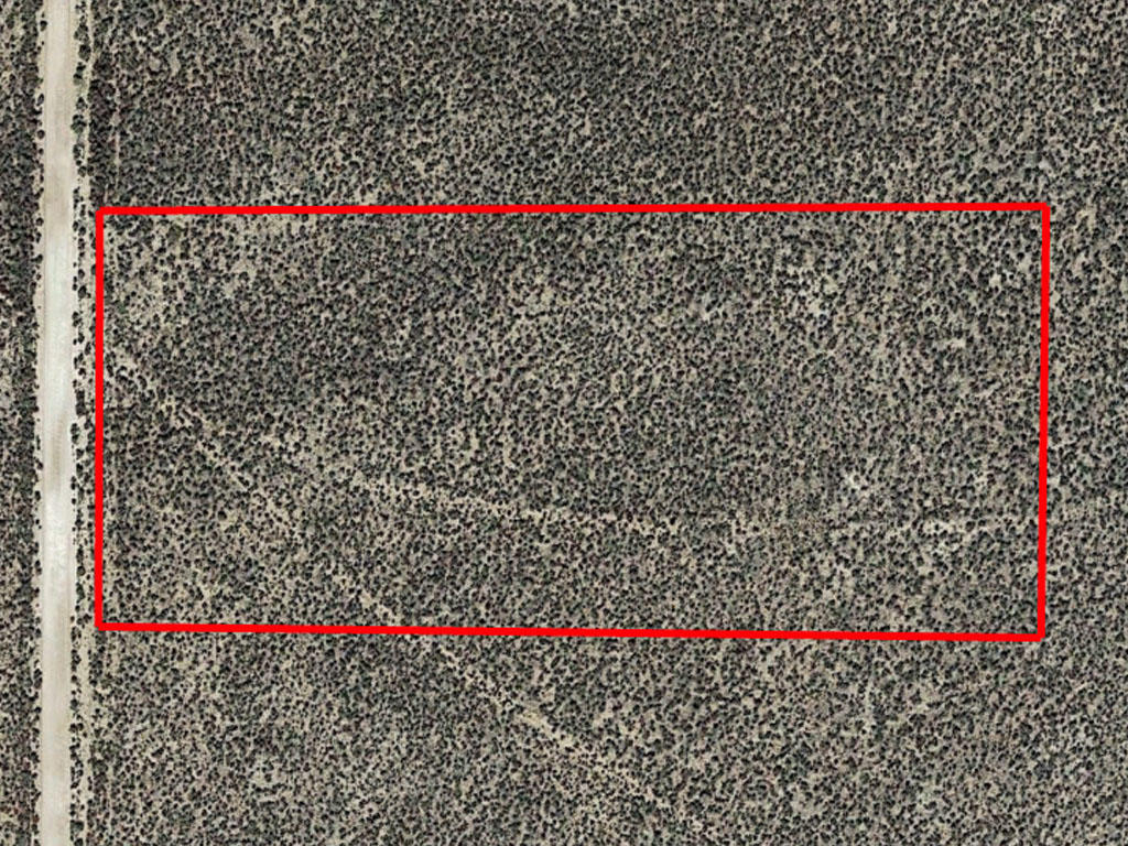 Stunning 5 Acre Plot Surrounded by Nature | LandCentral