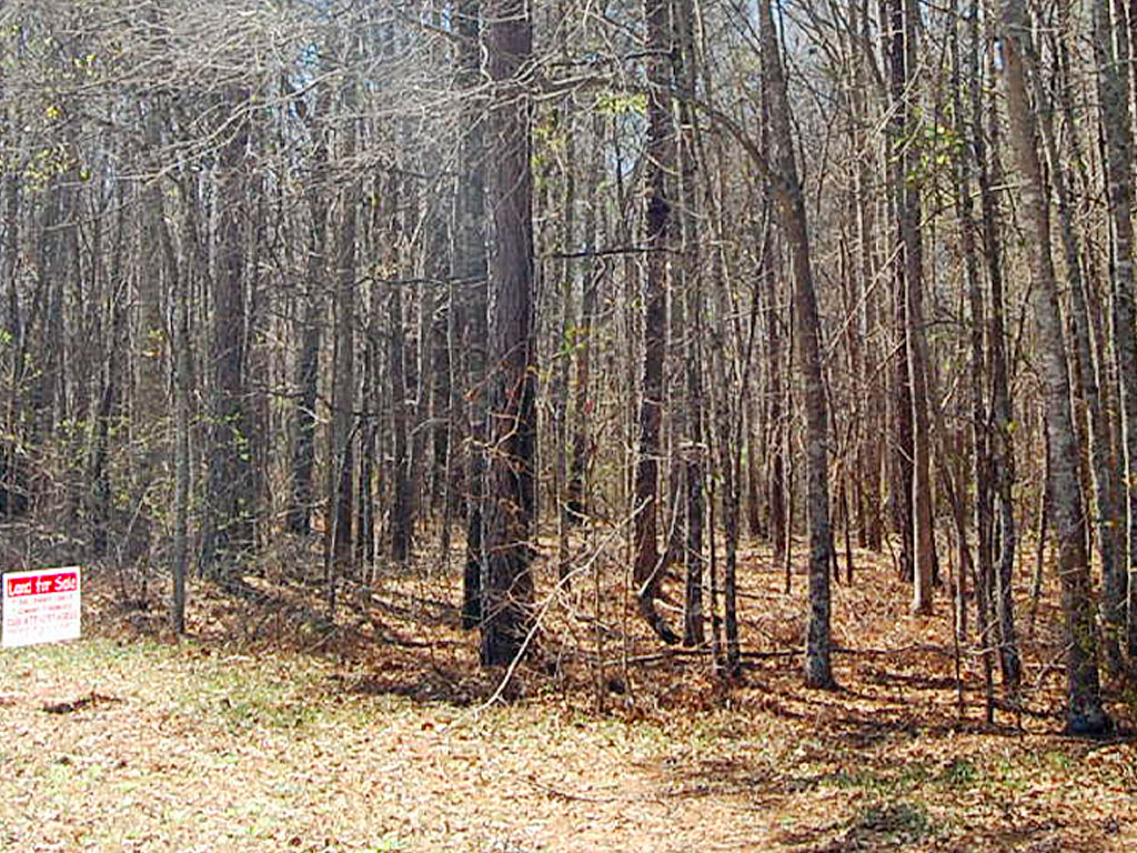 Rural Georgia Acreage in Quaint Subdivision | LandCentral