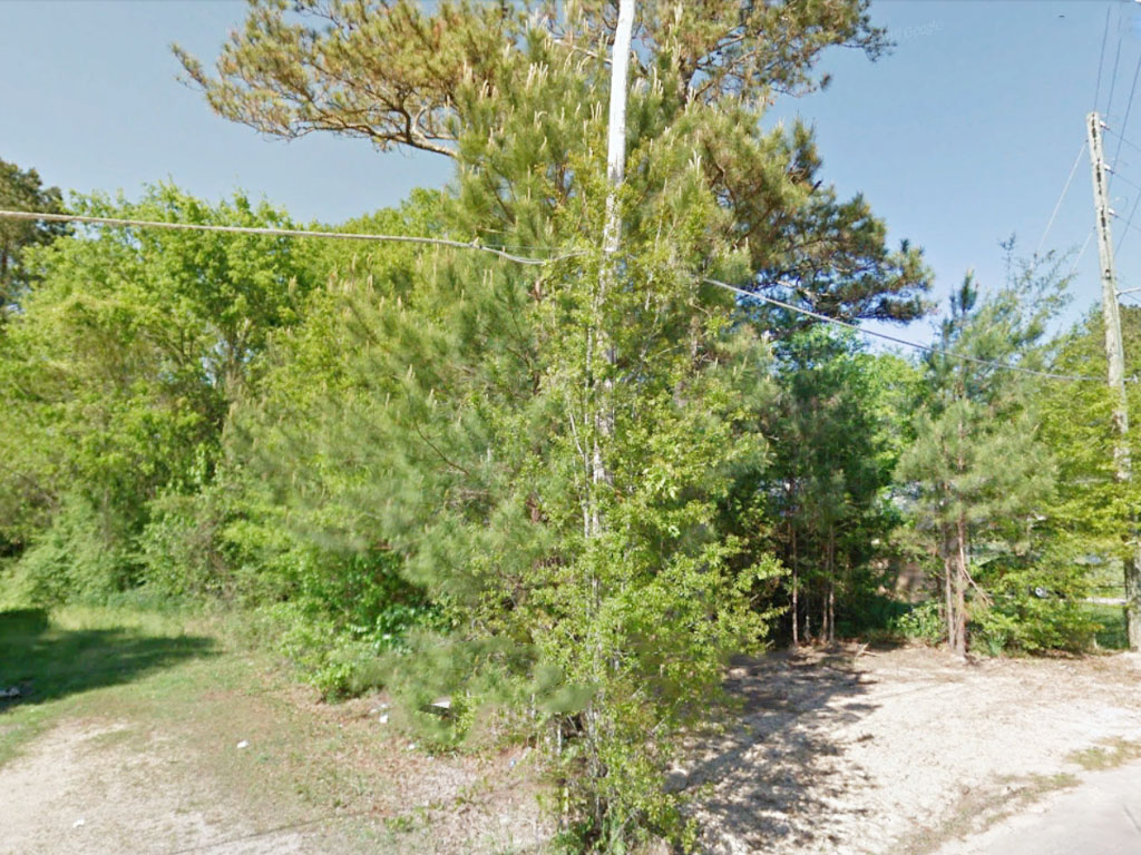 Build your starter house on this flat treed lot | LandCentral