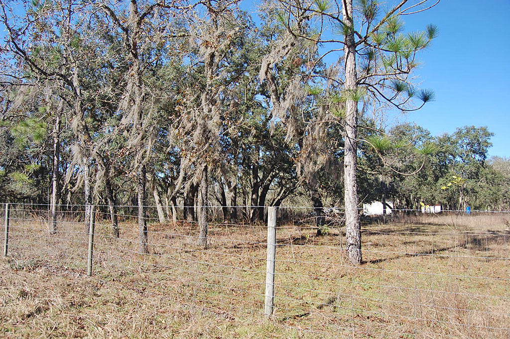 Treed Lot In A Rural Residential Neighborhood | LandCentral