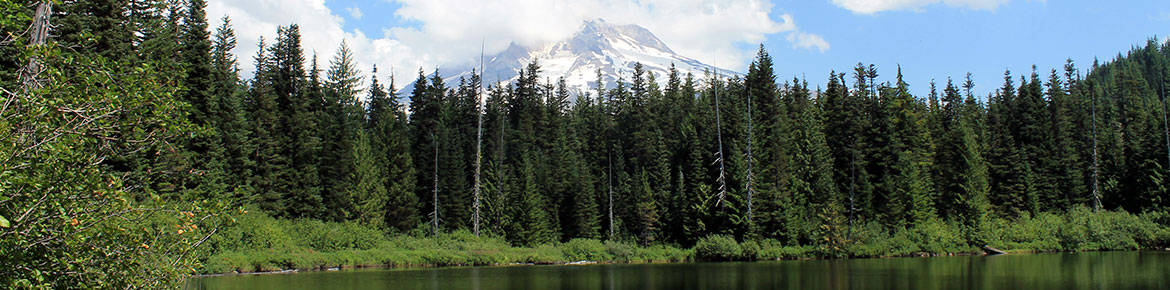 Land, Property for Sale in Oregon | LandCentral