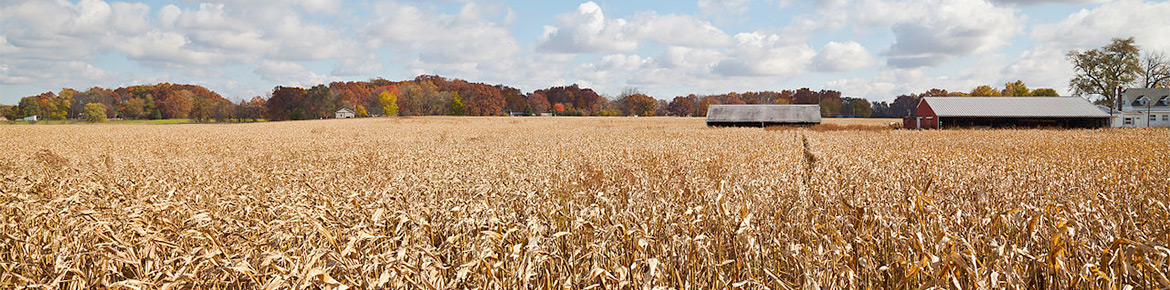 Land, Property for Sale in Indiana | LandCentral