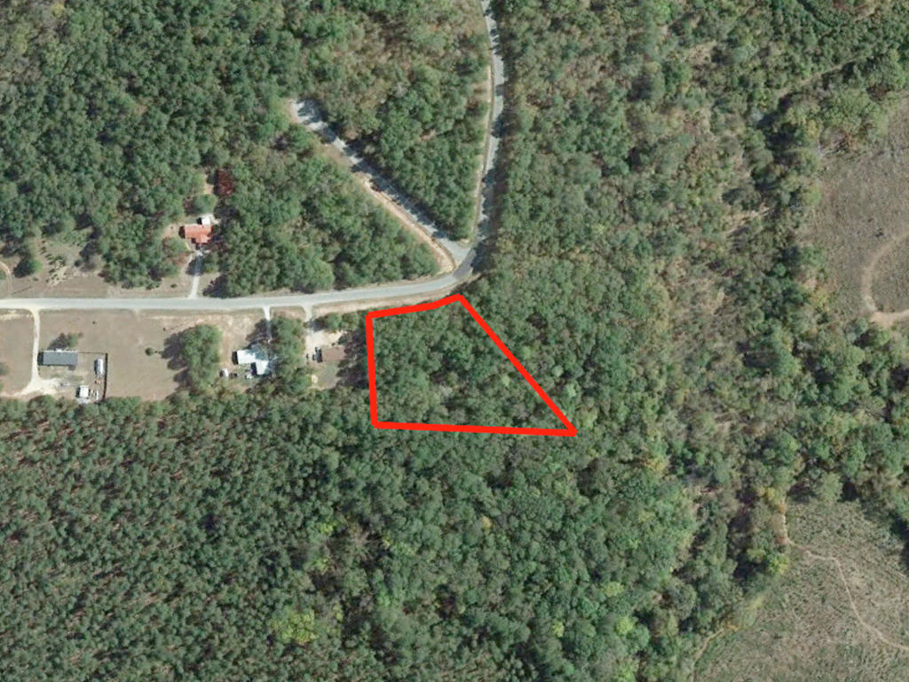 Rural Georgia Acreage in Quaint Subdivision | LandCentral