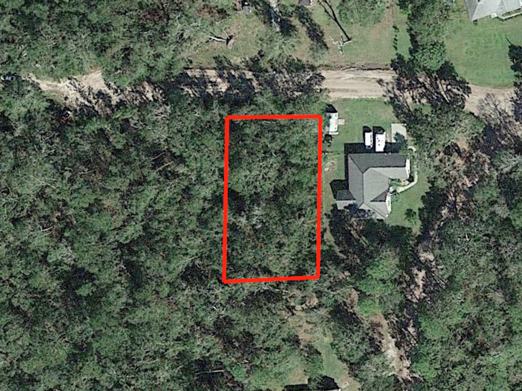 Georgia Rural Country Gem | LandCentral