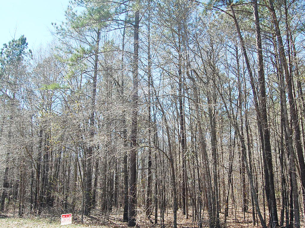 Rural Georgia Acreage in Quaint Subdivision | LandCentral