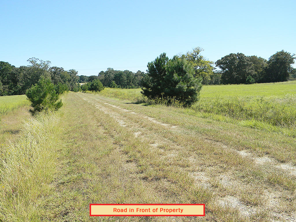 Texas Countryside Lot North of Houston | LandCentral