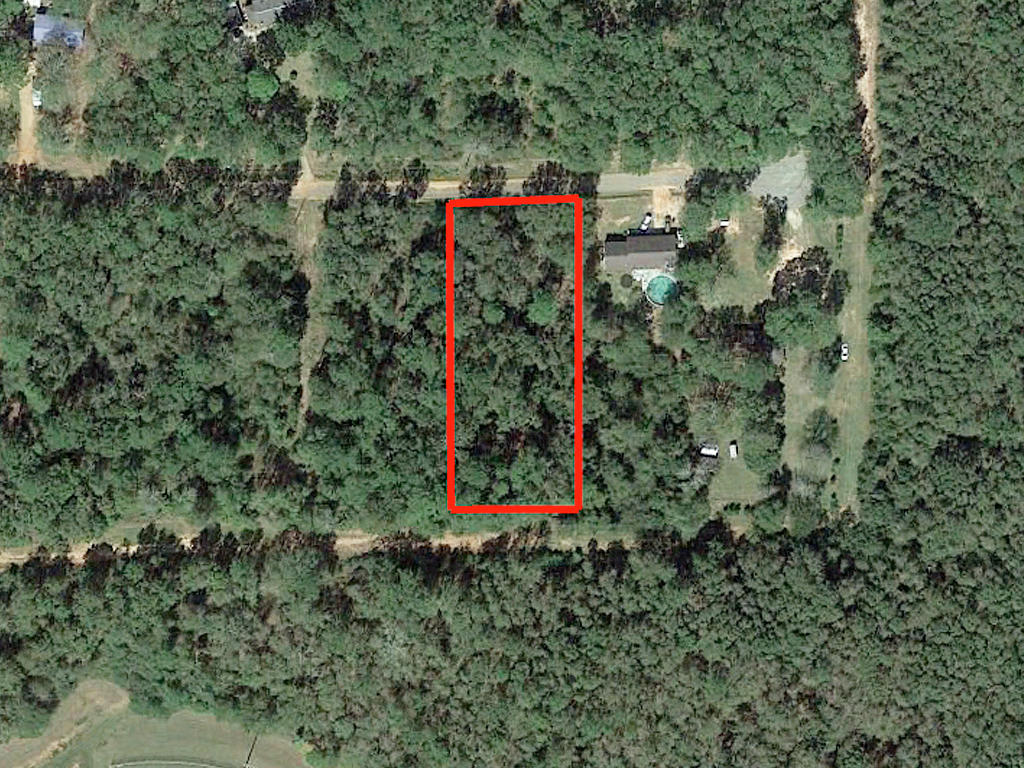 Rural Americus Georgia Acreage | LandCentral
