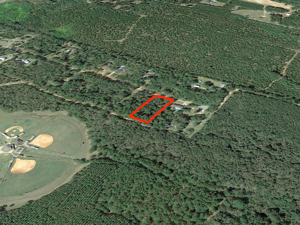 Rural Americus Georgia Acreage | LandCentral