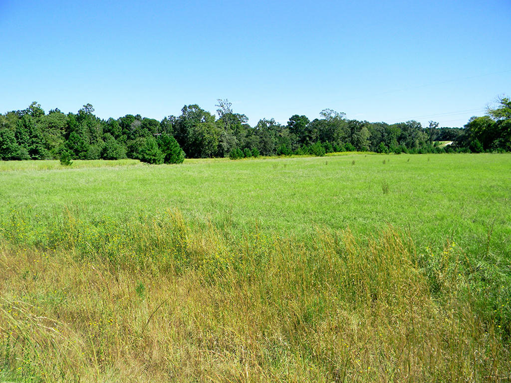 Perfect Acre for Living in the Texas Countryside | LandCentral