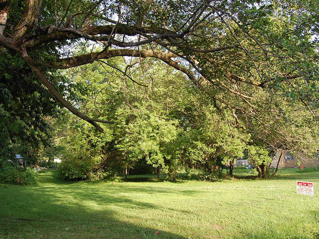 Escape into the Quiet Midwest Countryside | LandCentral