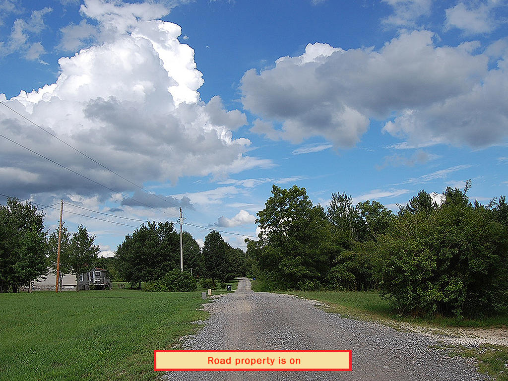 Dekalb County Alabama One Acre Treed Tract | LandCentral